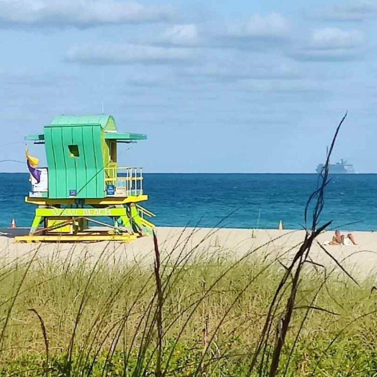 Descubre South Beach - Playas Latinas