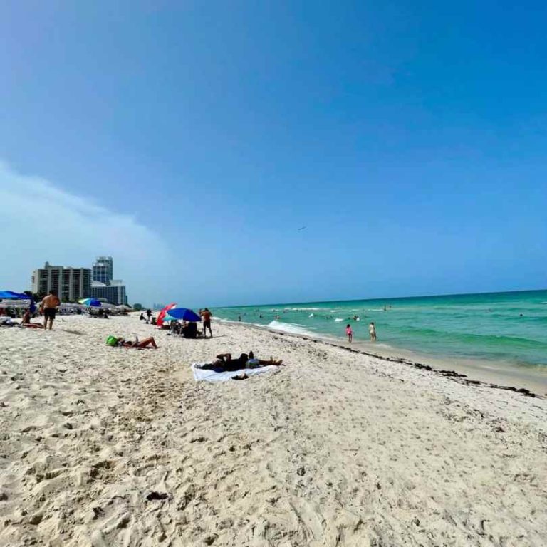 Descubre South Beach - Playas Latinas